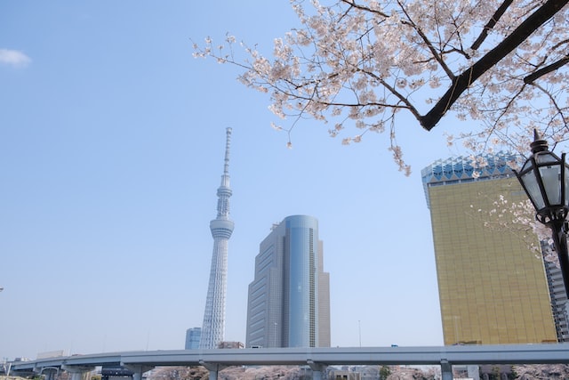 Tokyo Skytree: Interesting Facts About Tokyo's Tallest Structure ...