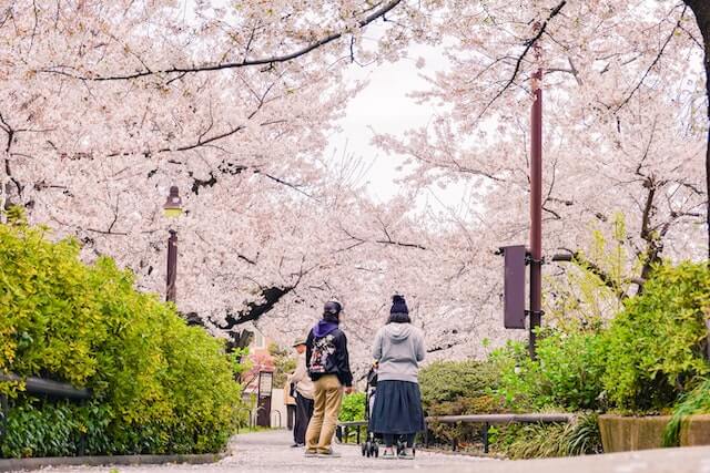 Top Reasons to Visit Japan in Spring - Japan Ryan